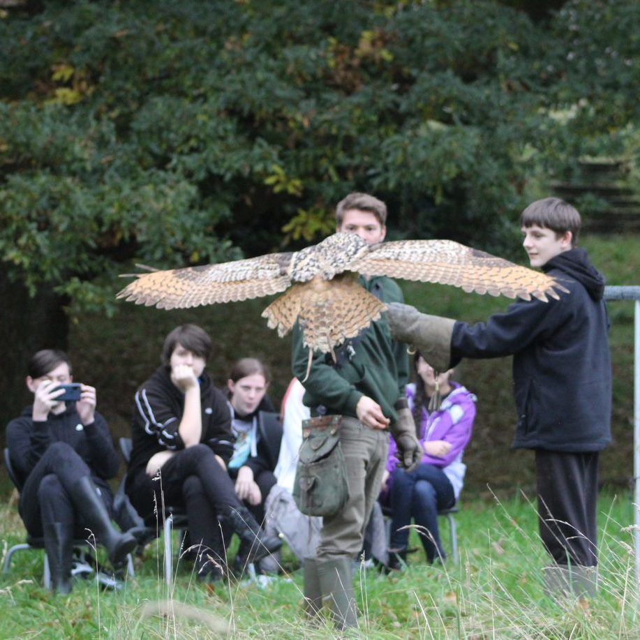 Mercer Falconry - Falconry Experiences Derbyshire