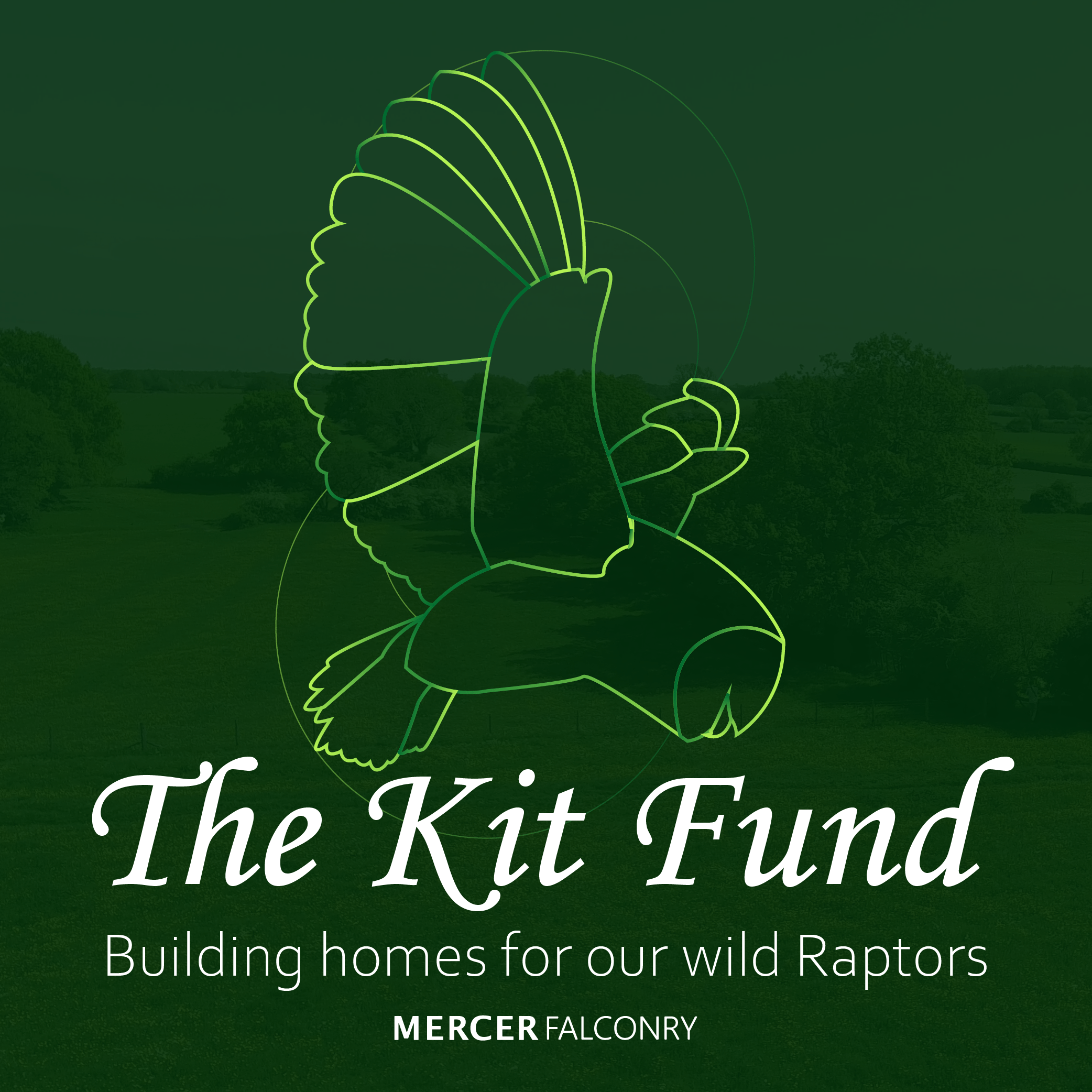 Conservation Donations - Mercer Falconry