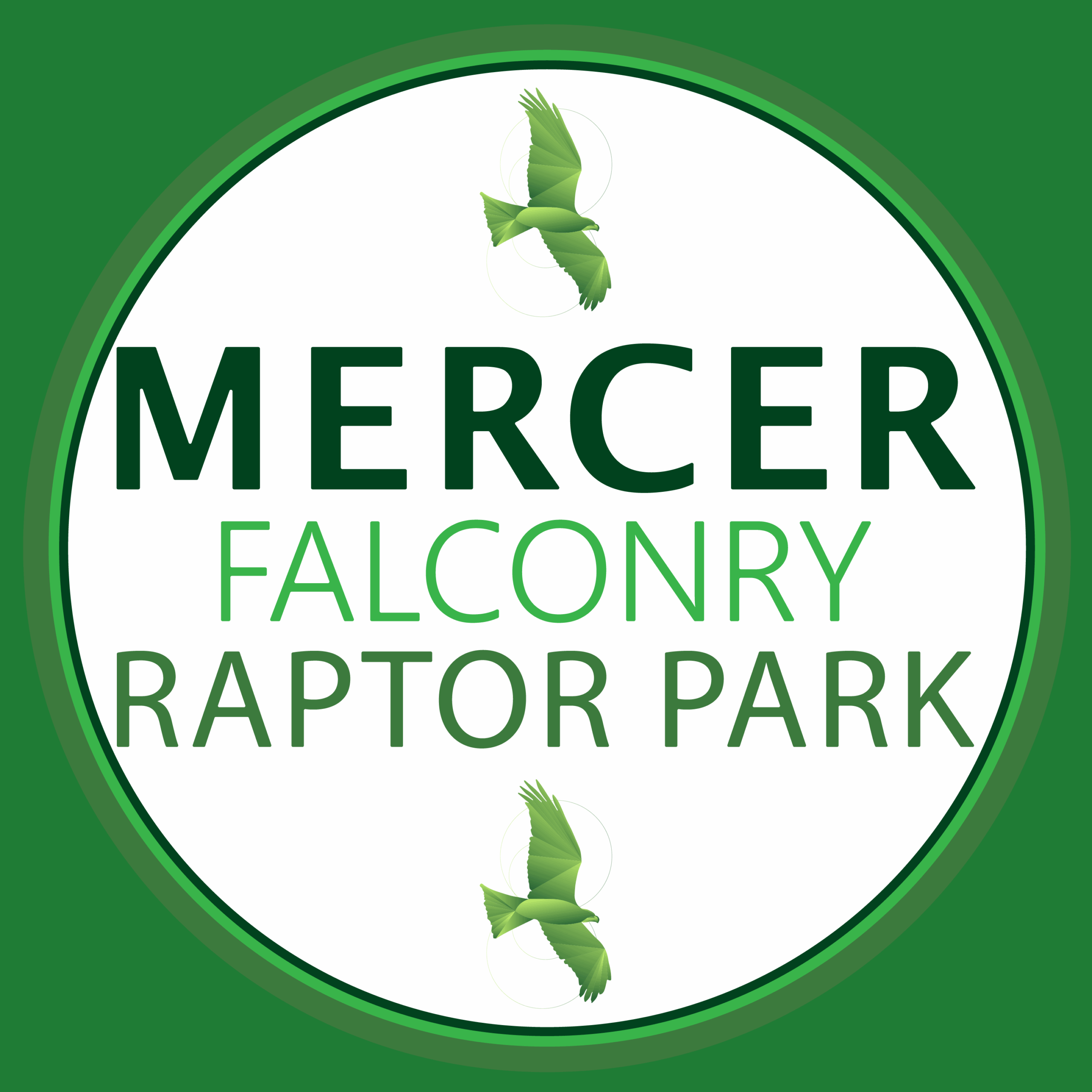 Mercer Falconry Raptor Park Links - Mercer Falconry